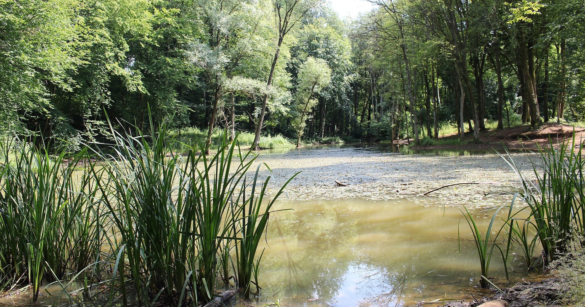 Nature & Tours in the Minett Region - Visit Minett