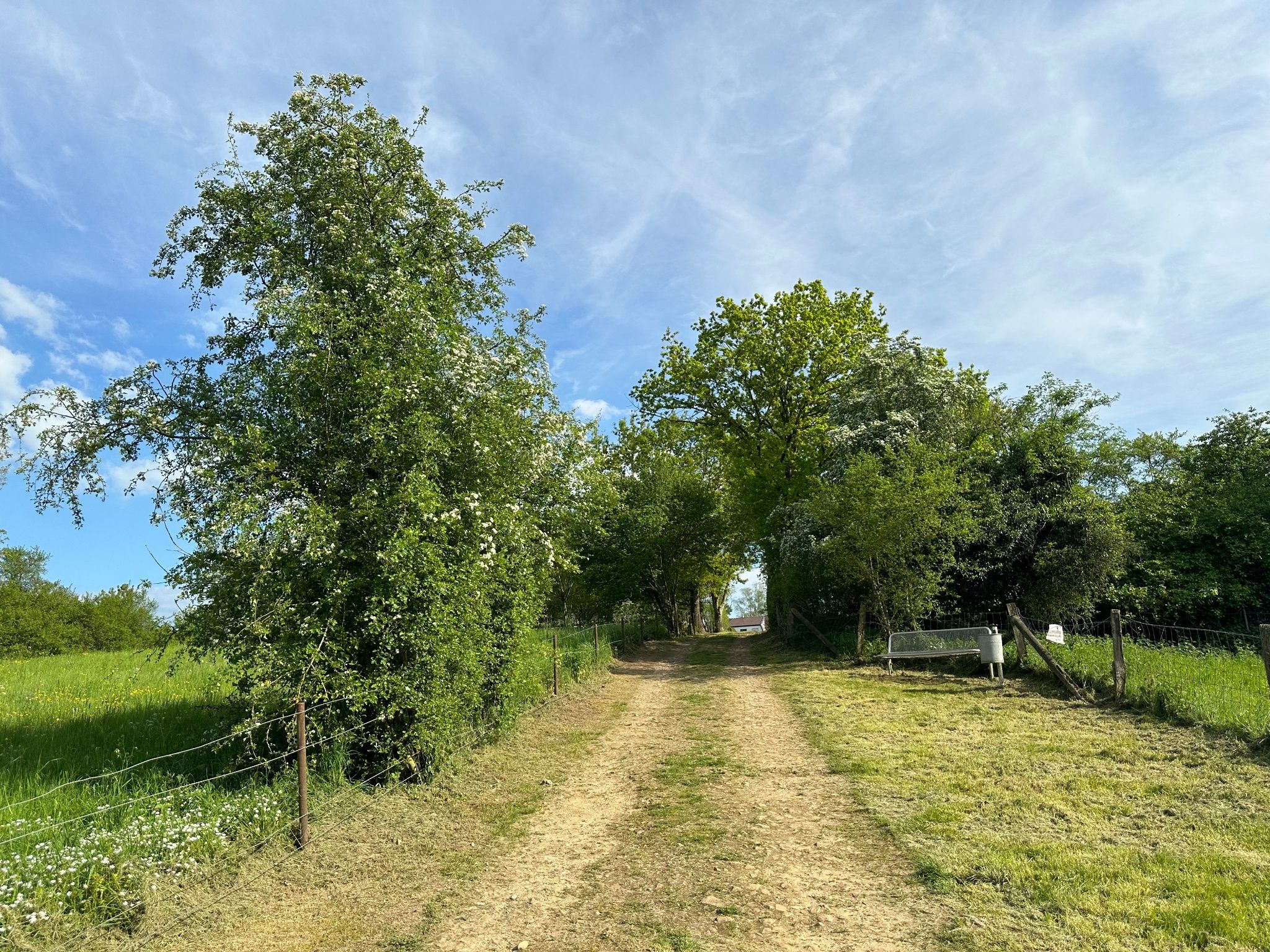 Auto-Pédestre trail Bascharage - Visit Minett