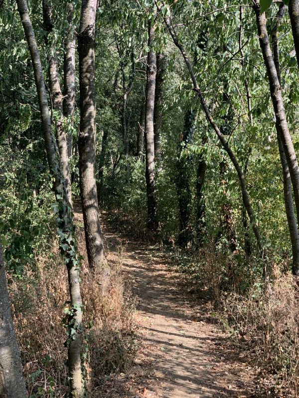 Hiking in the Minett Region - Visit Minett